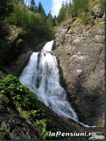 Cazare LapeCabana Dealul Negru situata la Belis - Dealu Negru in ...