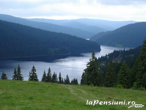 Cazare LapeCabana Dealul Negru situata la Belis - Dealu Negru in ...