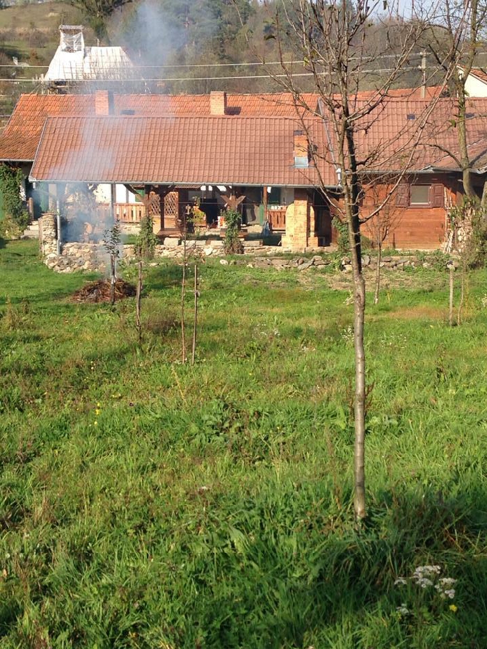 Cazare La Bojanu' la Zolt - Zolt (Timis) - Banat - Banat