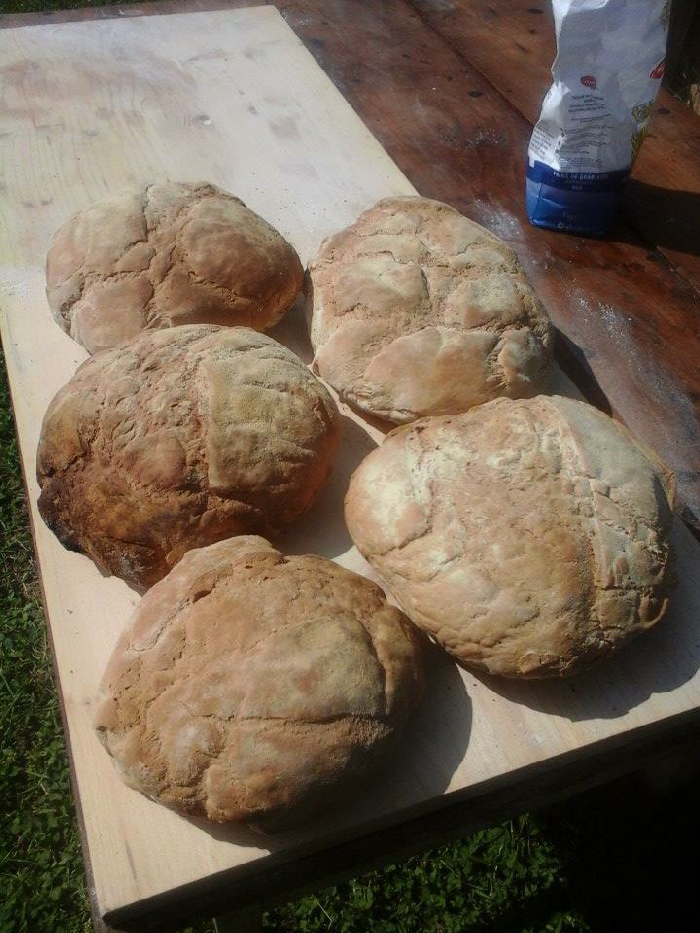 Cazare La Bojanu' la Zolt - Zolt (Timis) - Banat - Banat