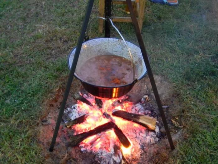 Cazare La Bojanu' la Zolt - Zolt (Timis) - Banat - Banat